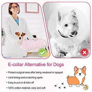 Parderry 2 Packs Dog Recovery Suit for Surgery Dog Onesie Surgical Clothes Bodysuit for Male and Female Substitute E-Collar&amp; Cone