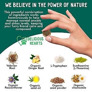 ZenBites Organic Calming Vitamin Chews for Dogs Anxiety Soft Dog Calming Treats with Chamomile Valerian Root Ginger Root & Melatonin Supports Everyday Stress & Anxiety (Duck Flavor) 120 Count