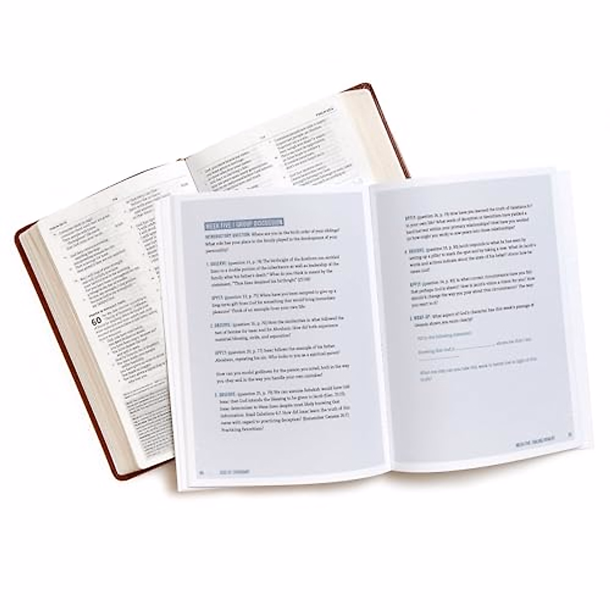 God of Covenant - Bible Study Book: A Study of Genesis 12-50