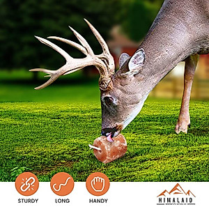 Himalaid Himalayan Salt Lick on Rope for Horses, Cattles, and Other Livestock, 6 LBS Each (3 Pack)