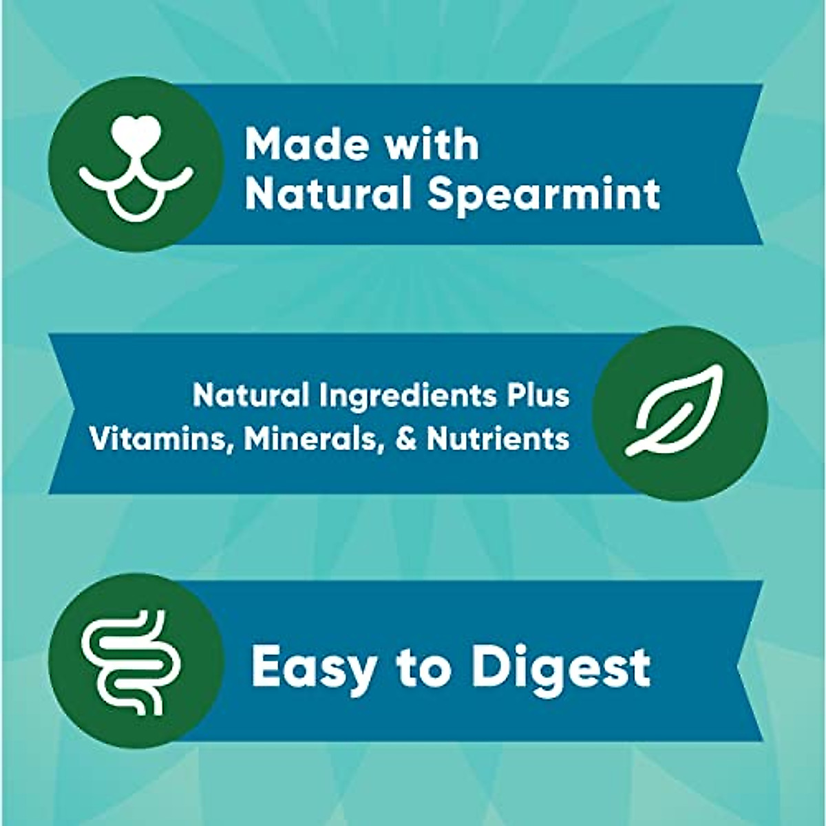 Greenies Anytime Bites Dog Treats, Mint Flavor, 24 oz. Bag