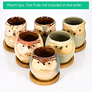 Trays 2.5 Inch Bamboo Round Plant Saucer for Most Plant Pot Flower Pot, Solution for Owl Pot with Hole (6 Pack)