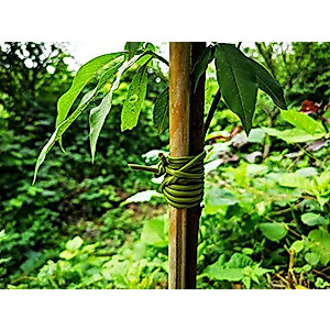 TIPU Soft Rubber Garden Twine, Reusable and Adjustable Plant Tie Without Wire Interior, Hollow Stretch Rubber Twine Expands with The Growth Plant/Fruit Tree, Green, 262 FT