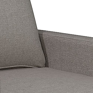 WHOPBXGAD Sofa Chair,Living Room Sofas, upholstered Sofas for Living Rooms, bedrooms, Offices and Apartments,Light Gray 23.6" Fabric