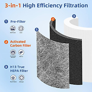 HP202 HP201 Replacement Filter for Shark HP200 Series Air Purifier HP201 HP232 HP302 HC502,3-in-1 True HEPA High-Efficiency Activated Carbon Filter,Part #HE2FKBAS,HE2FKBASMB,HE2FKPET,2 Pack