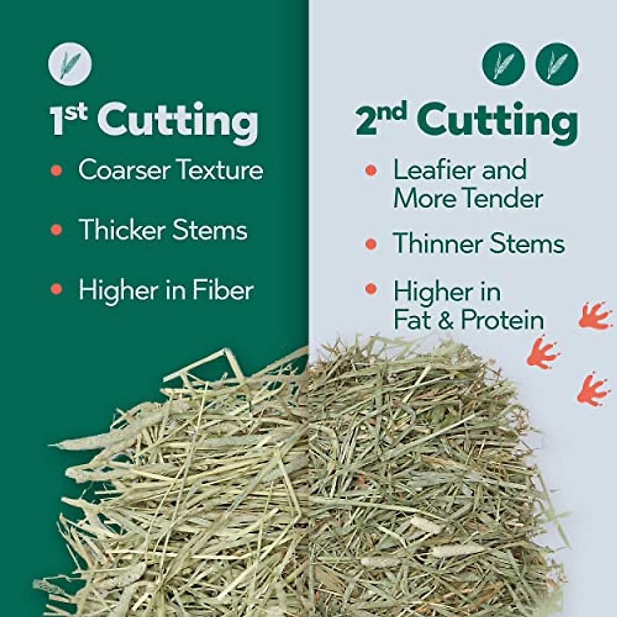 Andy Organic Timothy Hay Andy-Pak Feeder Box, 4 Pack 1.5 Lb Boxes, 1st Cutting Rabbit Food, Premium Hamster, Chinchilla, Gerbil, & Guinea Pig Food, Small Animal Treats, 6 lbs