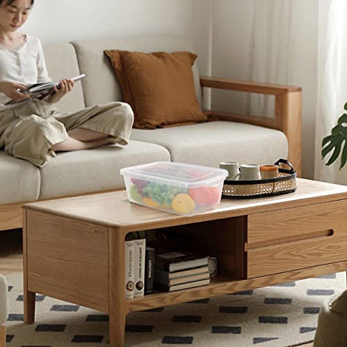 Idomy 4-Pack Clear Plastic Storage Latch Box with Lids, 14 L