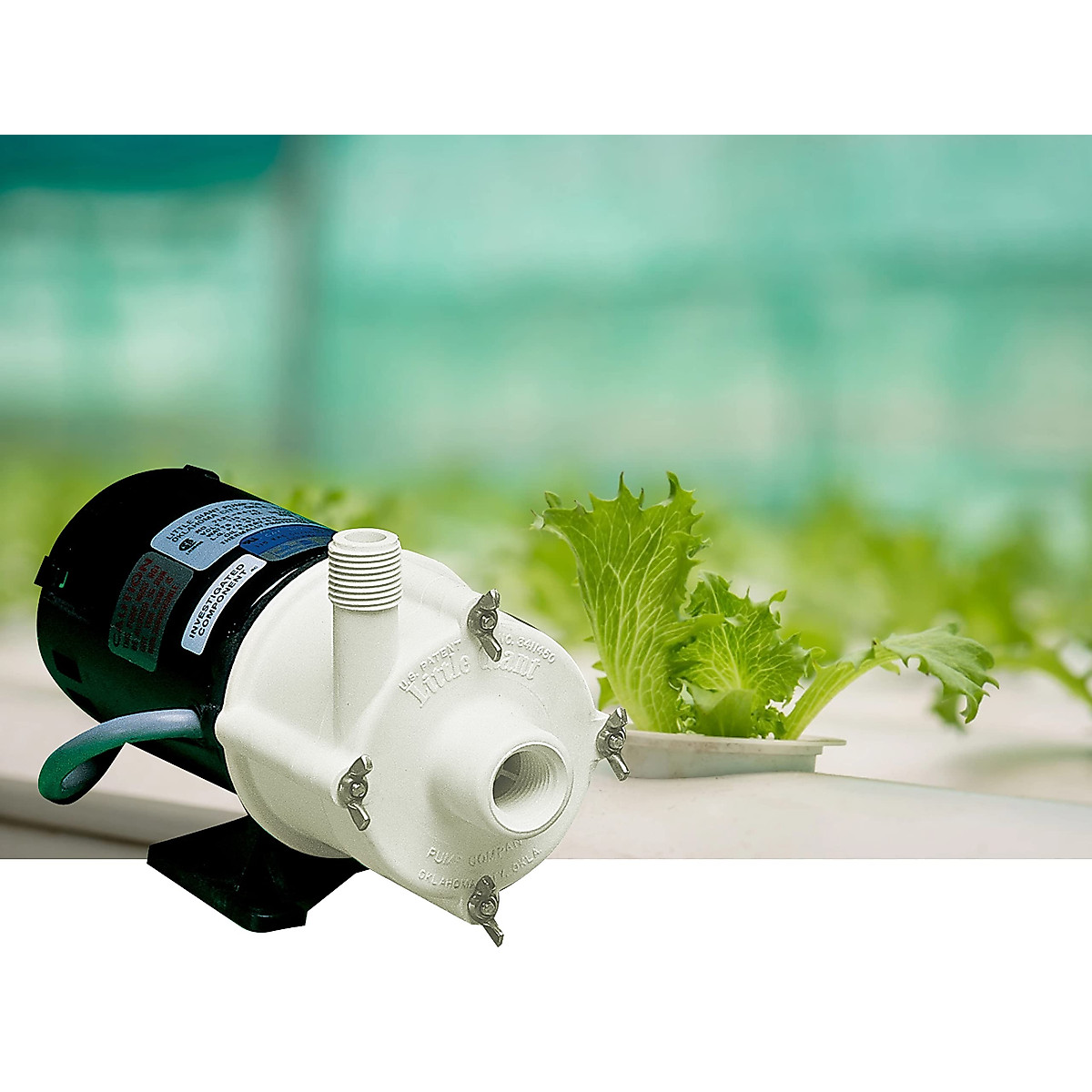 Little Giant 2-MD 1/30 HP 115-Volt, 510 GPH Magnetic Drive Pump, 6-Foot Power Cord, Black, 580002