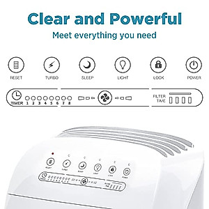 MSA3 Air Purifier with One Extra Original MSA3 Replacement Filter