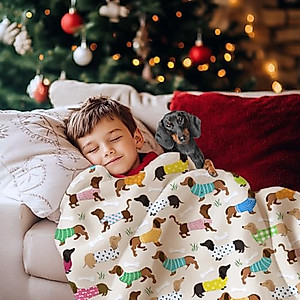 BUYYET Cute Dachshund Decor Fleece Flannel Animals Blanket Wiener Dog Dachshund Gifts Blanket for Women Lightweight Soft Cozy Throw Blanket for Bed Couch Travel Outdoor 40''x 50'' for Kids/Child