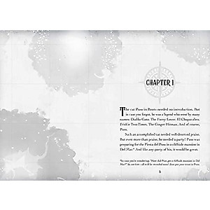 Puss in Boots: The Last Wish Junior Novel