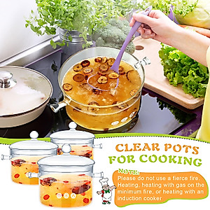 Hsei 3 Pcs Glass Simmer Pot Heat Resistant Clear 1.3 1.5 1.9 L Glass Saucepan with Cover Handle Glass Pots for Cooking Glass Cookware Glass Stovetop Pot and Pan with Lid for Pasta Noodle (Trendy)