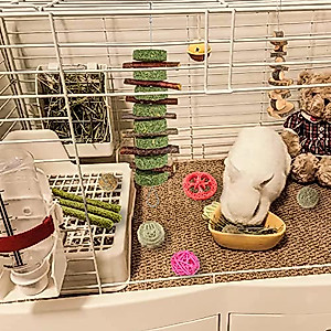 Grddaef 20 PCS Bunny Chew Toys for Teeth, Natural Rabbit Toys Apple Wood Grass Timothy Sticks Chew and Treat for Guinea Pigs Hamster Chinchillas