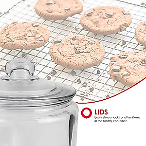 Home Basics Large Kno Renaissance Collection Glass Jar Round Container with Easy Grab Knob Handles (Clear) for Kitchen, Bathroom, Laundry, Craft, Office