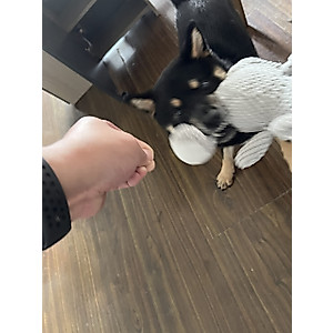 CIXOXIZ Squeaky Dog Toys,Durable Stuffed Pet Toys,Stuffed Pet Toy,Plush Corduroy Dog Toy,Elephant Squeaky Plush Dog Toy, Durable Plush Dog Toy,Chew Guard Toy,Dog Chew Toys,Cotton Rope Dog Toy