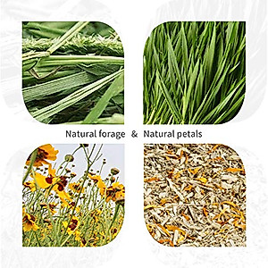 Niteangel Creative & Composable Hamster Tunnel - DIY & Build Unique Tube Burrow as Hideout for Small Sized Animals Like Hamsters Mouse Gerbils Mice (Tunnel)