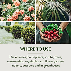 Garden Safe 32 Oz. Rose & Flower Insect Killer, Ready-to-Use