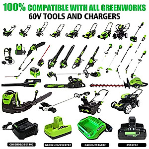 【Upgrade】 DSANKE 60V 5.0Ah Lithium Ion Replacement Battery for Greenworks Pro 60V Battery LB60A03 LB60A02 LB60A00 Cordless Power Tool Battery