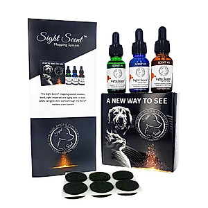 SightScent Sight and Scent Mapping Program for Blind or Sight Impaired Dogs and Cats