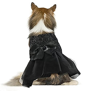 QBLEEV Dog Dress, Dog Wedding Dress for Small Dogs, Bowknot Dog Wedding Attire Black Dog Dress Pet Dog Bride Costume Lace Tutu Skirt Halloween Dog Princess Dress Party Puppy Apparel Dog Formal Dress S