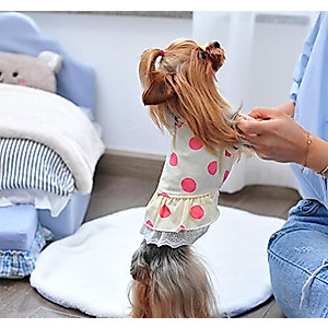 MSNFOASM 2Pcs-Pet Dog Elastic Soft Dress,Cute Polka Dots Lace Skirt for Small Dogs Cats（White&Pink S）