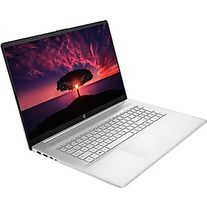 HP [Windows 11 Pro] 17.3" HD Touchscreen Business Laptop, AMD Ryzen 5-5500U, 32GB RAM, 1TB SSD, HDMI, WiFi, Type-C, Full-Size Keyboard, Numeric Keypad, Long Battery Life, USB Business Card