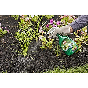 Ortho 0438580 Grass B Gon Garden Grass Killer Ready-to-Use, 24-Ounce (3)