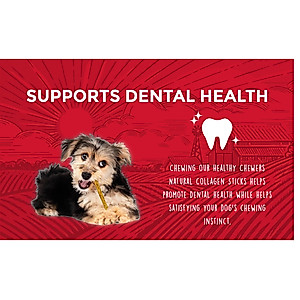 Rewardables | Healthy Chewers | Natural Collagen and Beef Sticks for Dogs | 100 Count | High Protein and Limited Ingredient Dog Chews