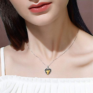 YFN Urn Necklaces for Ashes Sterling Silver Elephant Cremation Necklace Jewelry for Ashes Heart Memory Jewelry for Women Men