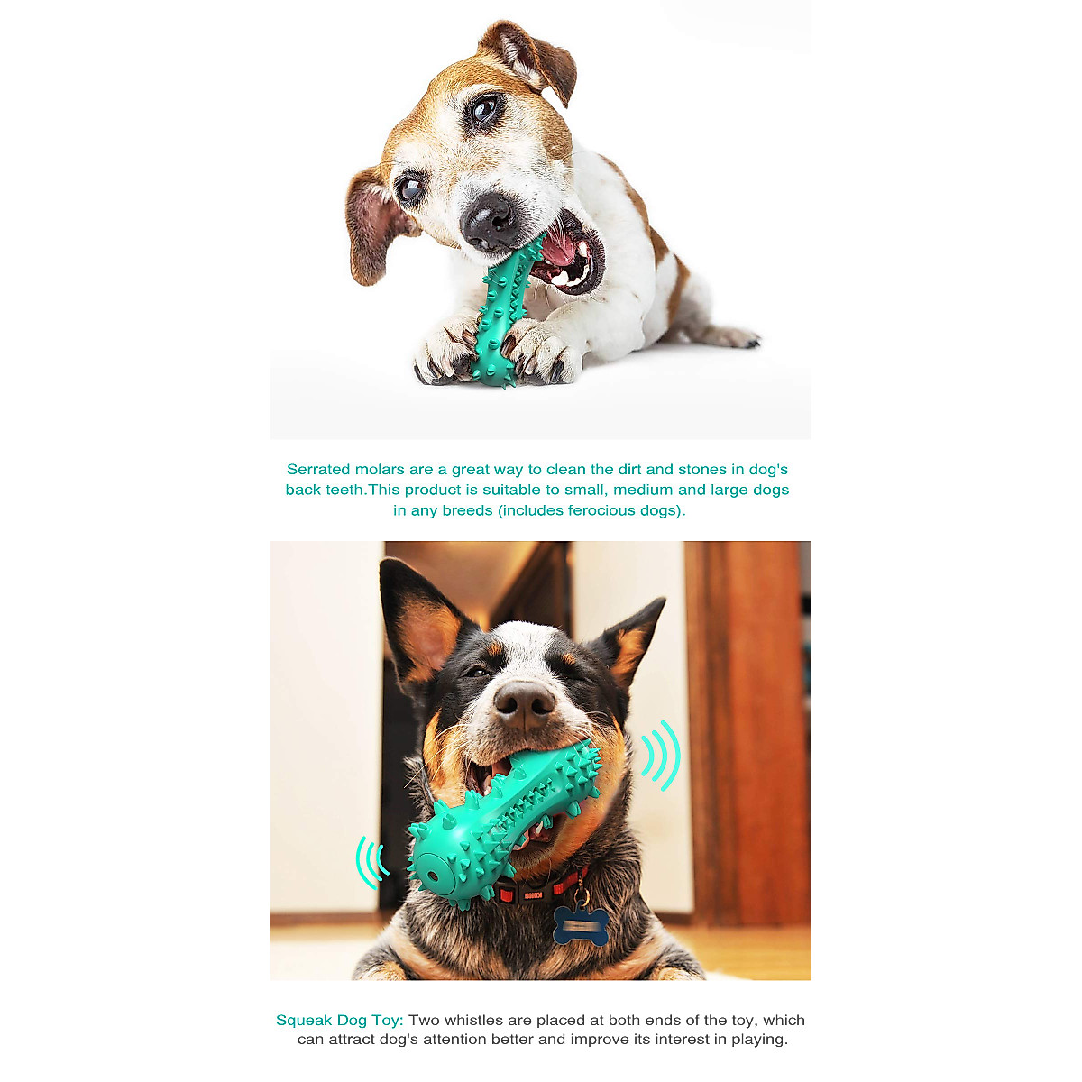 ASWER Dog Chew Toothbrush Toys for Small Medium Large Dogs Dental Care, Squeaky Teeth Cleaning Toy for Aggressive Chewers Large Breed Indestructible Tough Dog Toothbrush Stick Blue