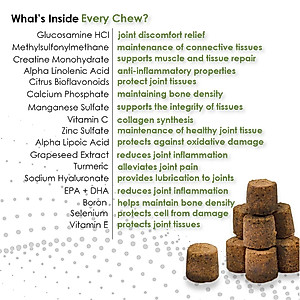 Hylox Dog Joint Supplement (240 Soft Chews)