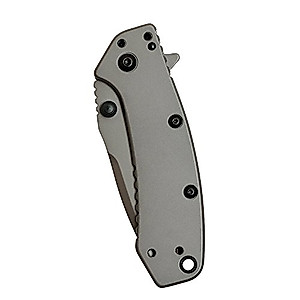 Kershaw Cryo Knife, 2.75" Stainless Steel Drop Point Blade, Assisted Opening Everyday Carry Pocket Knife