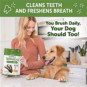 WHIMZEES by Wellness Long lasting Dog Chews Value Box: All Natural Grain Free Treats to Help Clean Teeth & Reduce Plaque & Tartar - for Dogs 40-60 Lbs - 24 Count