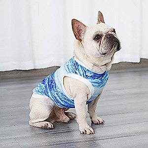 DORA BRIDAL Dog Cooling Vest Instant Pets Cooling Collar Cat Chill Out Ice Shirt for Dogs Puppy Cats in Summer S (Blue)