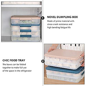 HEMOTON Plastic Food Storage Containers Dumpling Box Food Freezer Box Keep Fruits Vegetables Meat And More Kitche Fridge Freezer (Meat meal)