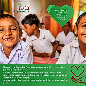 Jiva Organic Mung Bean - Mung Moong Beens Whole for Sprouting and Cooking - 2 lb Bean Bag – Indian Spices