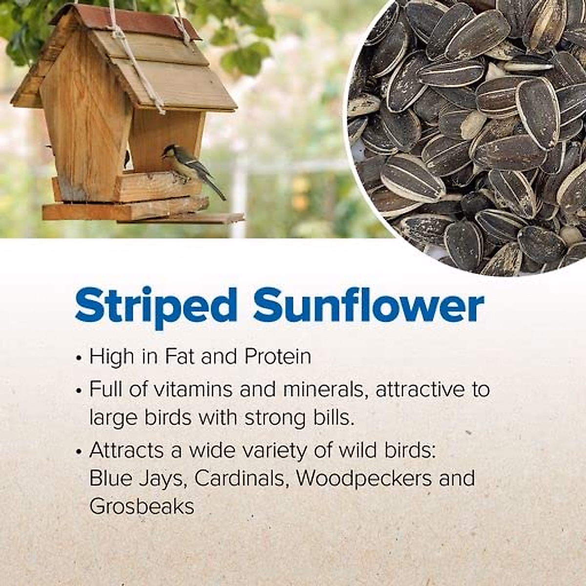 Blue Seal Feeds & Seeds Striped Sunflower Seed | High in Fats and Fiber, Vitamins and Minerals | Attracts Larger Birds | 3 Pound Bag