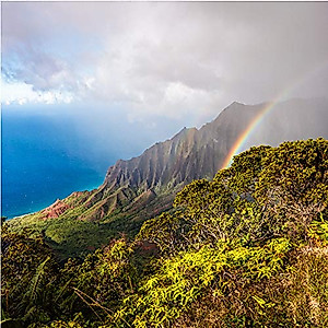 Kauai Hawaiian Ground Coffee, Koloa Estate Medium Roast (10 Ounce) - Gourmet Arabica Coffee From Hawaii's Largest Coffee Grower, Bold, Rich Blend