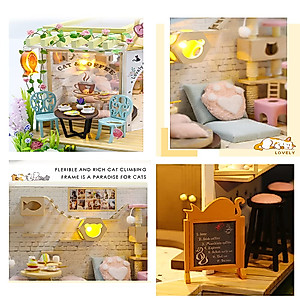 Kisoy Dollhouse Miniature with Furniture Kit, Handmade DIY House Model for Teens Adult Gift (Cat Cafe Garden)