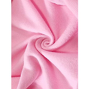 DIDK Women's Casual Pullover Long Sleeve Drawstring Hoodie Sweatshirt with Pockets Light Pink M