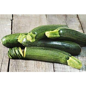 Black Beauty Summer Squash Seeds for Planting, 25+ Heirloom Seeds Per Packet, (Isla's Garden Seeds), Non GMO Seeds, Botanical Name: Cucurbita Pepo, Great Home Garden Gift