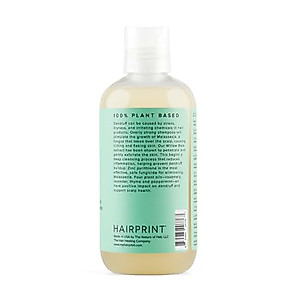 Hairprint Calm Anti-Dandruff Shampoo | Mildest Formula for Scalp Health | Contains White Willow Bark & Plant Oils | Addresses Malassezia & Reduces Dandruff | Dye-Free and Non-Toxic Formula (8 Fl Oz)