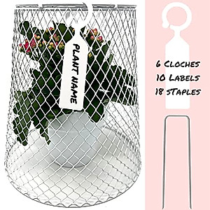 RE GOODS Chicken Wire Plant Cover – 6 Garden Cloche Baskets, Cage Protectors from Animals and Rabbits, Includes 18 Garden Stakes and 10 Waterproof Labels (White)