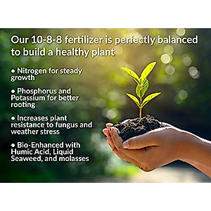 Nature’s Lawn & Garden - Bio-Enhanced 10-8-8 All Purpose Plant Food - Balanced Fertilizer w/Humic & Fulvic Acid, Kelp, Molasses - for Garden, Trees, Shrubs, Houseplants - Non-Toxic, Pet-Safe, 1 Gal