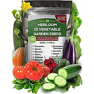 10 Assorted Vegetable Seeds - 100% Non GMO Variety Pack - 840+ Heirloom Garden Seeds for Planting Vegetables - Cucumber, Carrot, Tomatoes, Broccoli, Cabbage, Radish Seeds and More