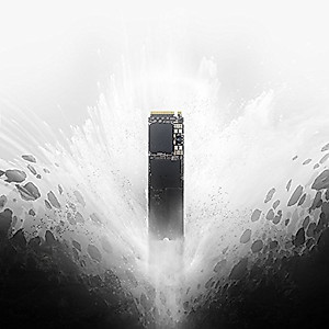 WD Black 250GB High-Performance NVMe PCIe Internal - M.2 2280, 8 Gb/s - WDS250G2X0C