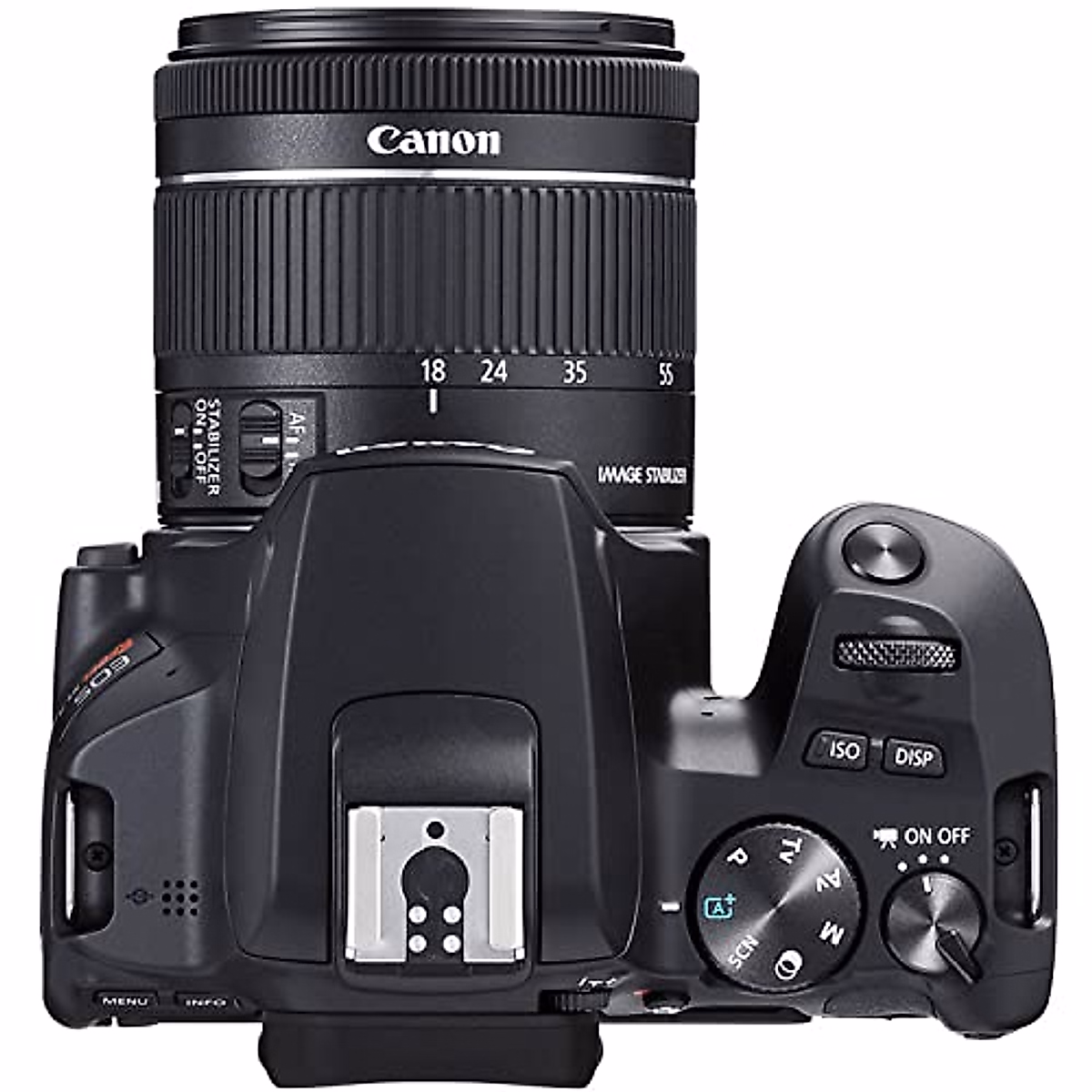 EOS Rebel SL3 DSLR Camera with EF-S 18-55mm f/4-5.6 is STM and EF 75-300mm f/4-5.6 III Lens + Accessory Bundle Kit (Flash, Travel Charger, Extra Battery, and More)