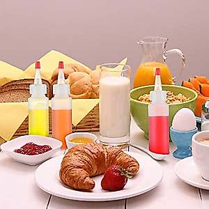 80 Pcs 2 oz Plastic Small Condiment Squeeze Bottles with Red Tip Caps Squirt Refillable Round Mini Squeeze Bottle for Glues Paints Arts Craft Sauce Ketchup Oil Icing Cookie Food Decorating BBQ Syrup