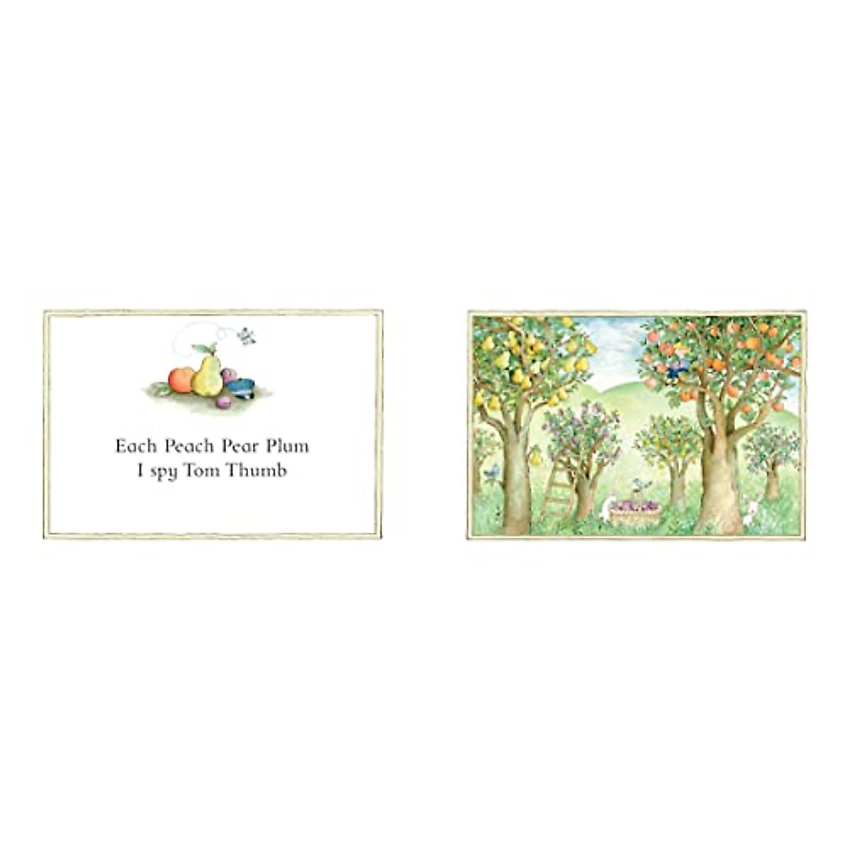 Each Peach Pear Plum board book