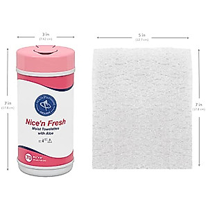 HAO Nice 'n Fresh Moist Towelettes Refreshing Skin Cleansing Wipes With Aloe and Lanolin (70 Count) Travel Tub